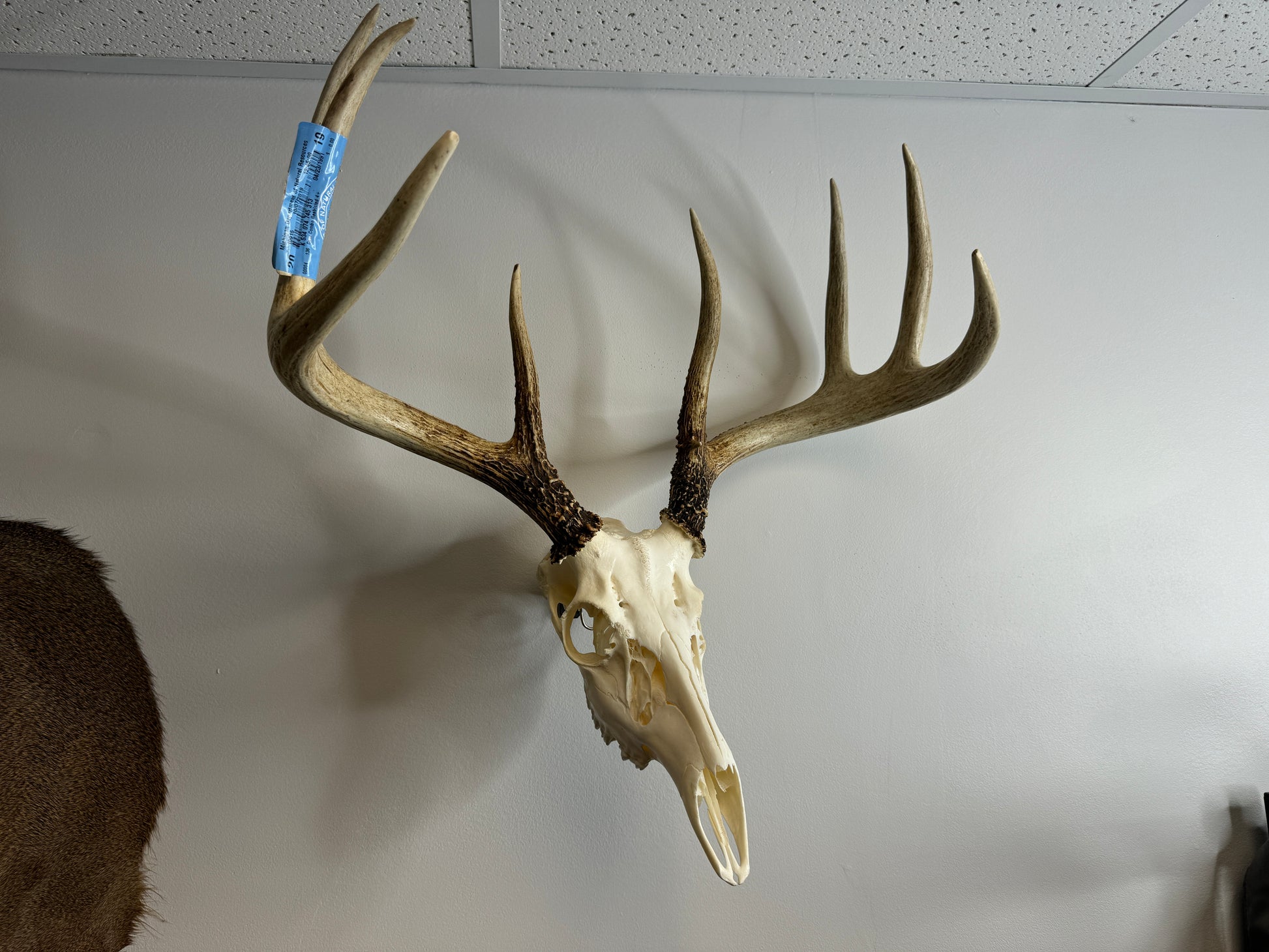 Genesis 3D Printing – Genesis 3D Printing, LLC