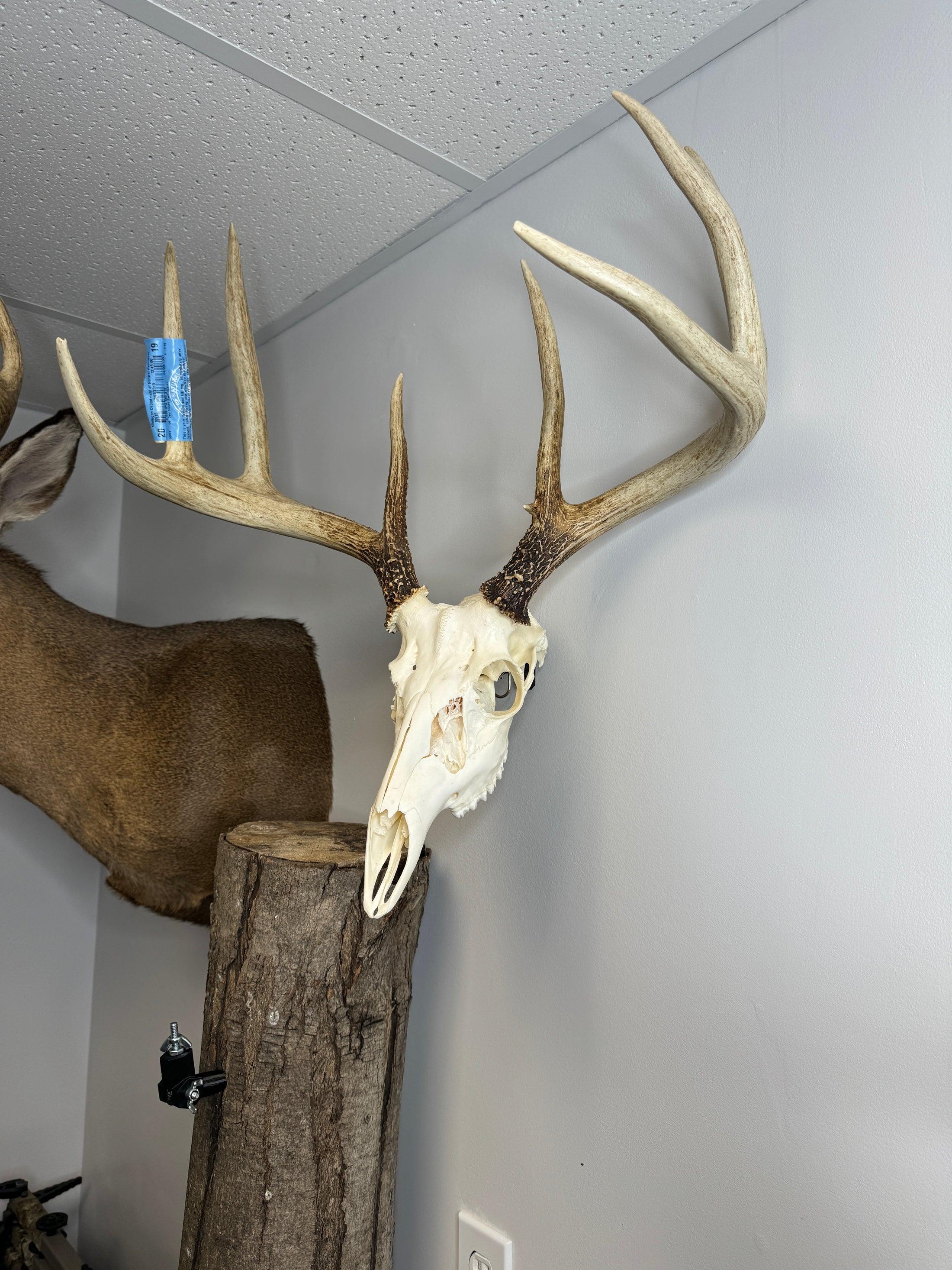 EuroRack Mount – Genesis 3D Printing, LLC